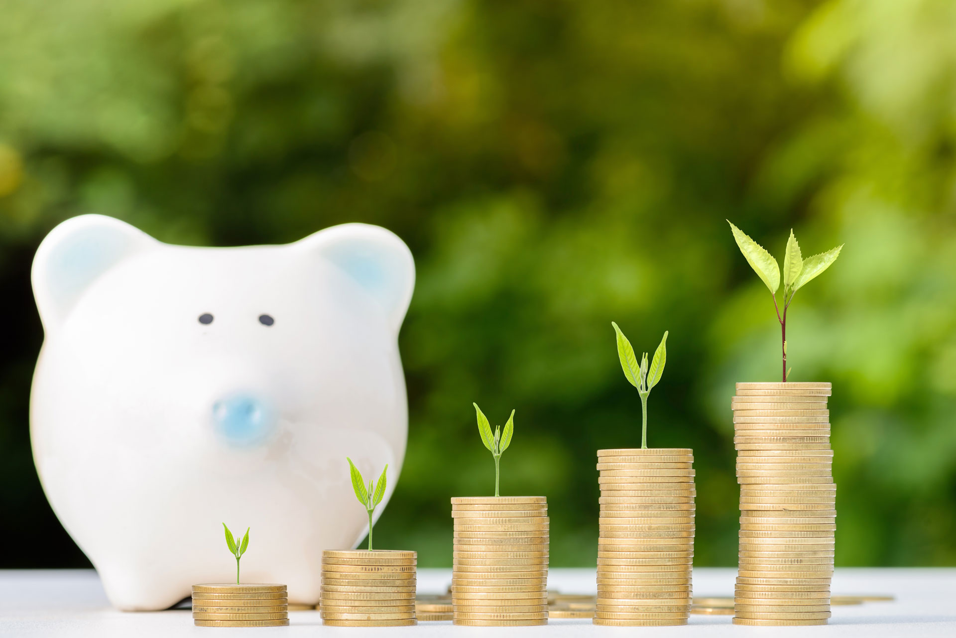 Personal Savings | Bay Bank